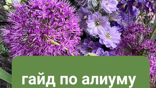 Александр Поляшов | Жду тебя - https://thm.page/p/681c668275131635f12e51e3?utm_source=dzen | Дзен