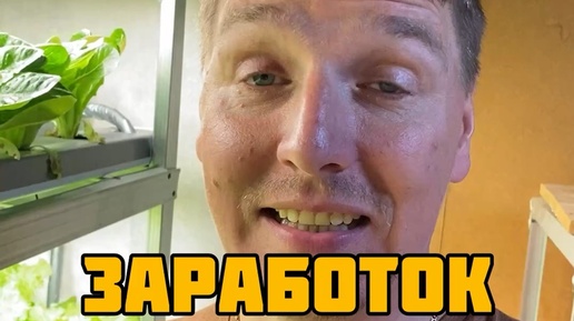 Владимир Свичеревский. Ситифермер | мечта многих | Дзен