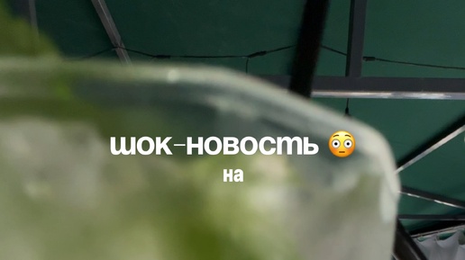 куда сходить в Петербурге? by alina_chikova | 📍Jager | Дзен