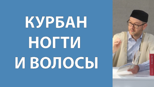 Жертвоприношение | umma.ru | Шамиль Аляутдинов | Дзен