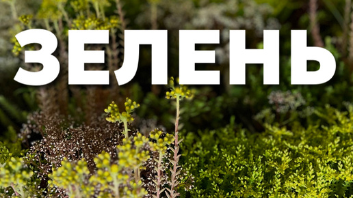 OliverDeck -террасы, заборы, фасады со вкусом. | Зелень Наши работы : https://oliverdeck.ru ...