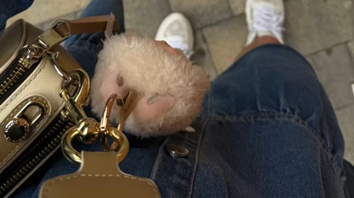 Evgeny_sochi | аккумулятор айфон быстро разрчжается #техноблог #iPhone #ремонттехники # ...