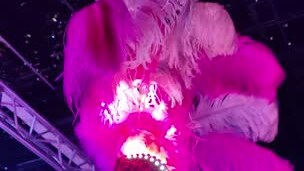 QUINTESSENCE световое танцевально-вокальное шоу | RIO-WOW ️‍🔥Красочный ...