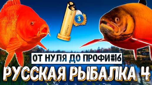 RF4 ПРОКАЧКА НАЖИВОК, АПП ЛВЛ, ФАРМ СЕРЫ, ПРЕМ ЗА ЗАДАНИЯ, НОВЫЕ ВОДОЁМЫ И ПЛАНЫ #рр4 | Ferdych ...