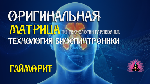 ⚠️ Оригинальная матрица по технологии Гаряева П.П ☀️ SoftRadio.ru | SoftRadio.ru | Дзен