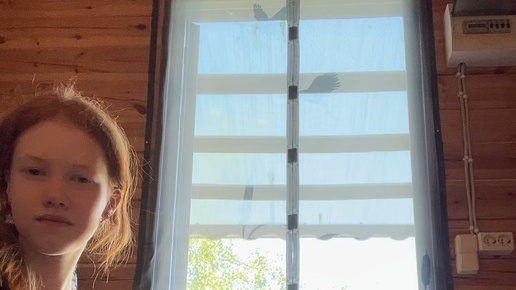 Rita Easy Vlog | ххахахаах | Дзен