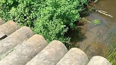 Chelouk Pavek | Мост через реку Сушку. На подъезде к Серпухову. Видео для статьи https://dzen.ru ...