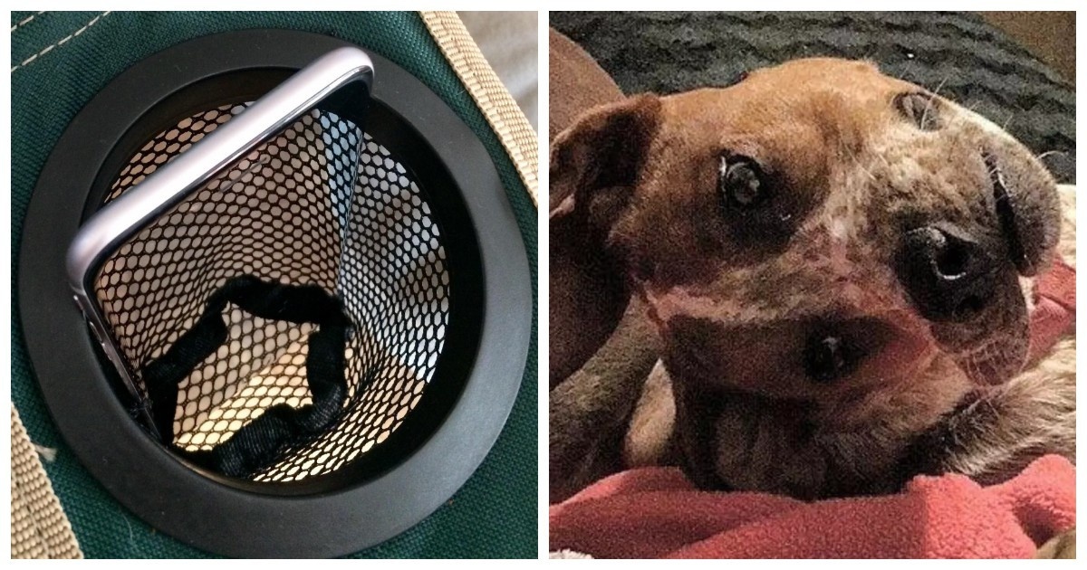 20 примеров того, как искусно мозг умеет обманывать восприятие | Fishki.Net | Дзен