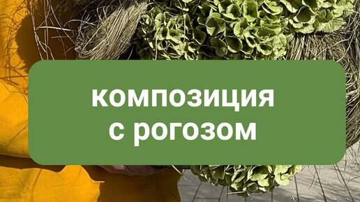 Александр Поляшов | Подписывайся - https://t.me/flowerjoker?utm_source=dzen | Дзен