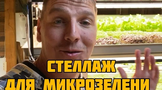 Владимир Свичеревский. Ситифермер | стеллаж для микрозелени | Дзен