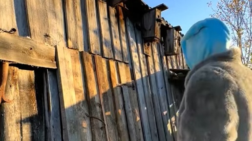 BOROGOZI | утро ️☀️ | Дзен