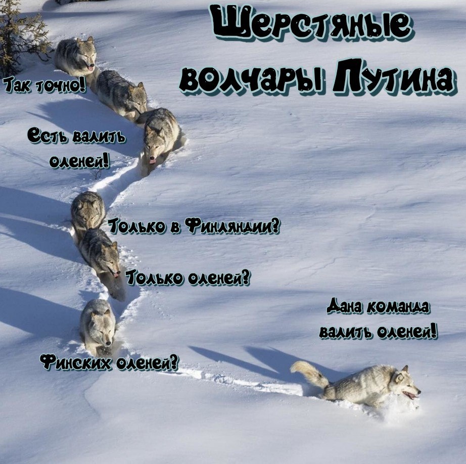 Гостиная - 537 - Страница 66 - Обсуждения переводов - Усадьба Урсы