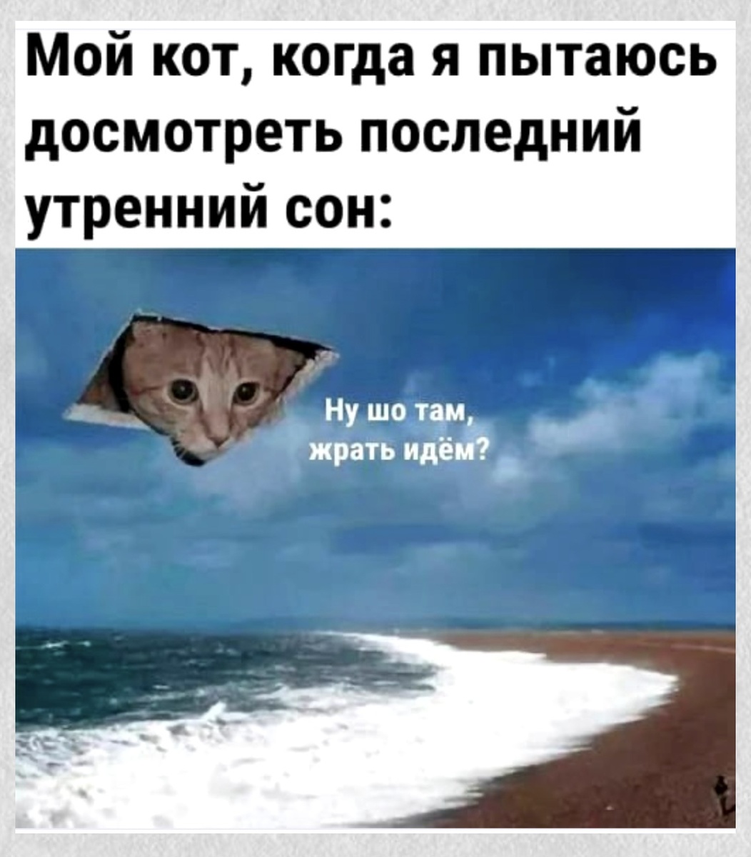 Котоматрица. Обсуждение на LiveInternet - Российский Сервис Онлайн ...