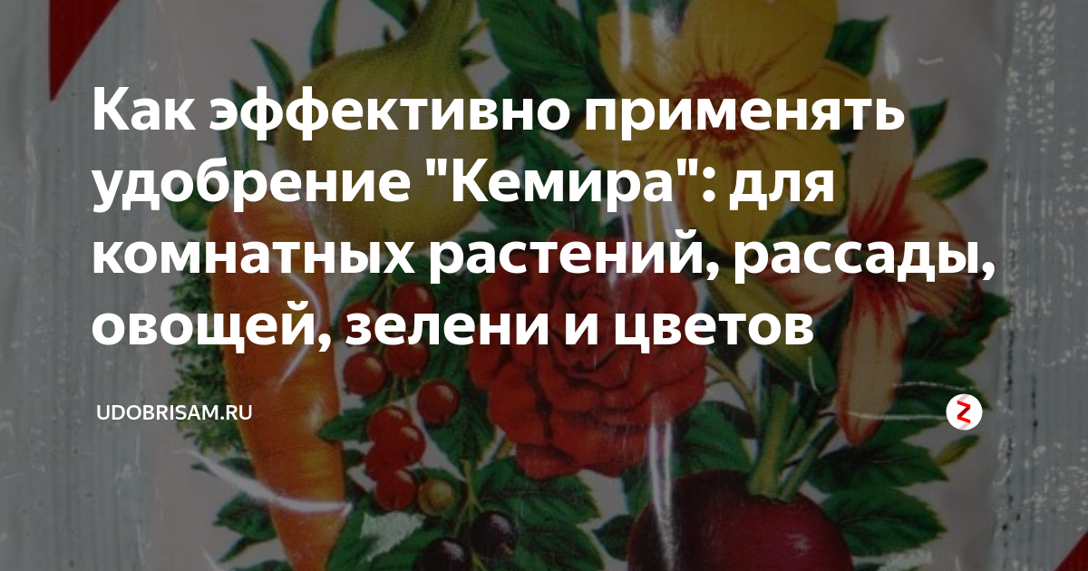 Как эффективно применять удобрение "Кемира": для комнатных растений ...