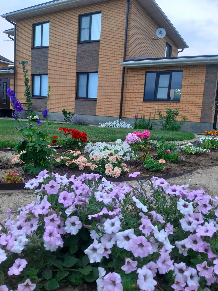 Гортензия д 15 н 40 где посадить на улице или дома на окне - 88 фото