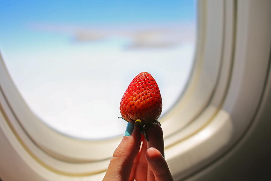 Какие продукты можно взять с собой в самолет? | S7 Airlines | Дзен