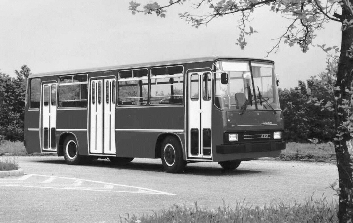 Икарусы семейства 200. Часть 1 (208 - 247) | НПАП №1 Икарус | Дзен