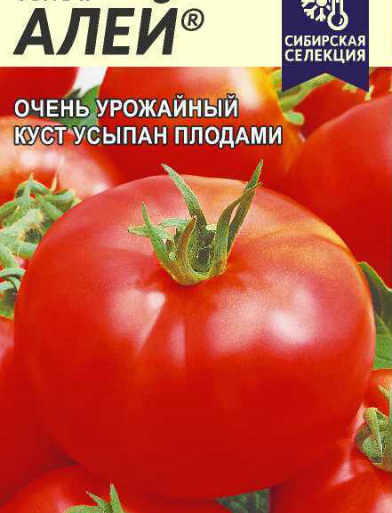 Обязательно посажу в новом сезоне эти сорта томатов – говорят, что это ...