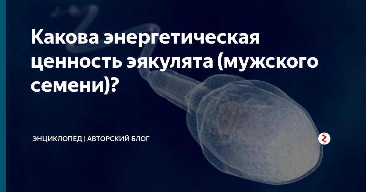 Какова энергетическая ценность эякулята (мужского семени)? | Энциклопед ...