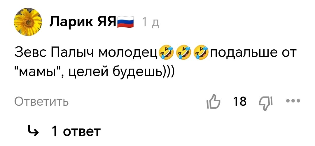 Подарок для Бабули ответ на комментарии Антонина на Мели Дзен
