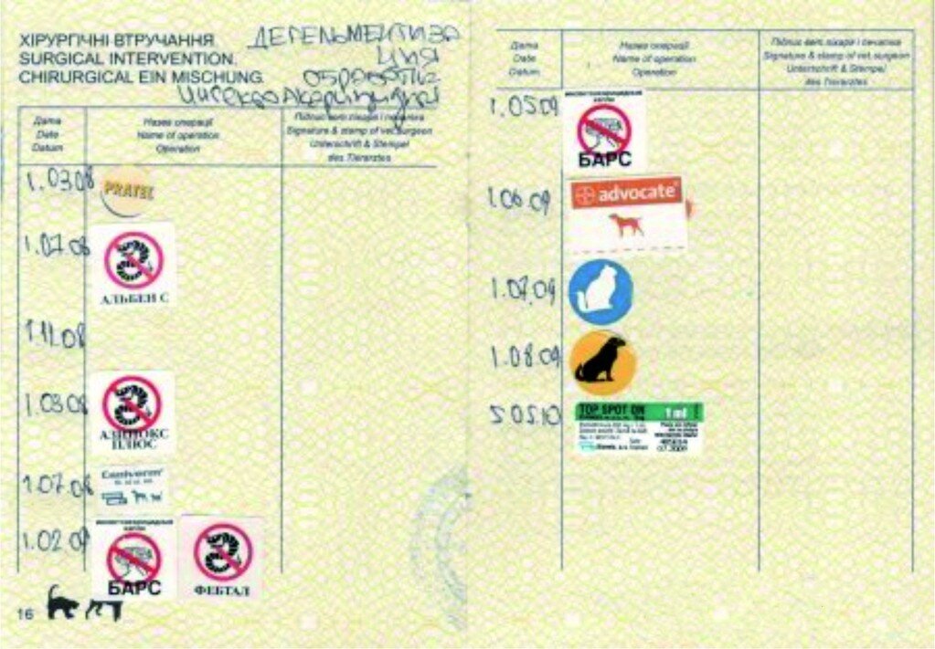 "Меченые" или ковидный паспорт: в чем смысл? | Маркетинг без прикрас ...