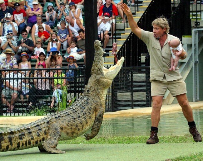 Что произошло со Стивом Ирвином - "охотником за крокодилами": volynko ...