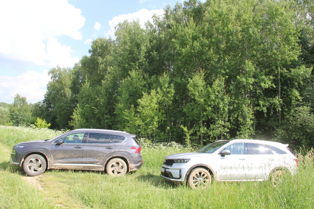 Хендай Санта Фе против Киа Соренто: SUV внутриусобица | AUTOMPS | Дзен