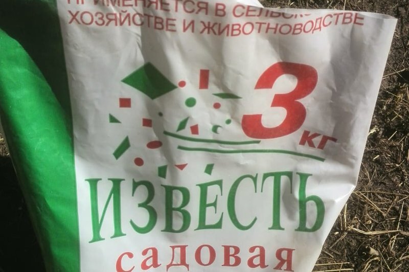 Как определить, что почва на огороде кислая | Виктория Радзевская ...
