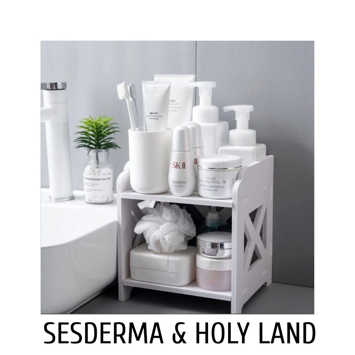 Какая косметика лучше: Sesderma или Holy Land? | Косметолог Алсу ...