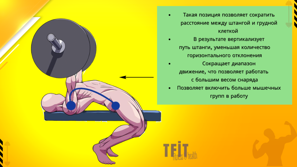 Работа ног в жиме лежа. Пожми свой новый максимум | TFiTnessLive | Дзен