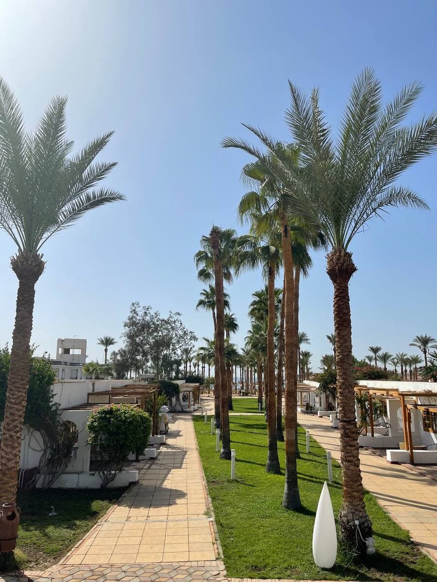 Шарм-эль-Шейх: обновлённый отель Seti Sharm 4* - идеальный песчаный ...