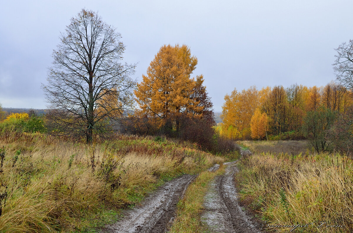 "Золотая осень" в Нерехте (Костромского уезда) | Тропами Руси | Дзен