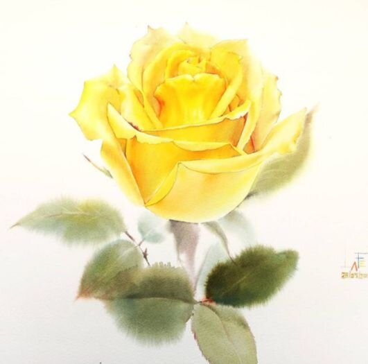 Влюбленный в розы: признанный в мире акварелист из Таиланда Ла Фе ...