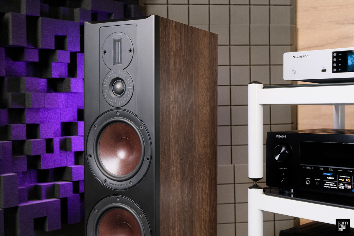 Оптимальные Hi-Fi-напольники 2021 года: DALI Opticon 6 Mk2 | iamhear | Дзен