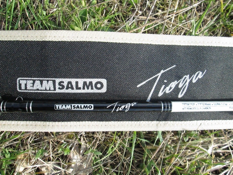 Недорогой и надежный спиннинг для береговой ловли - Salmo Tioga. Отзыв ...