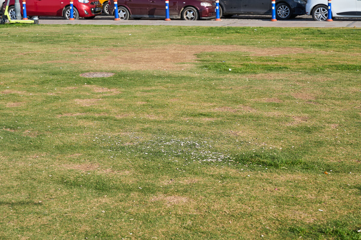 За этими продуктами турки стоят в очередях. Своеобразные товары ...