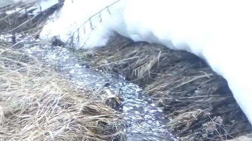 Fitness Samka | Парень в шоке 🔥😏 | Дзен