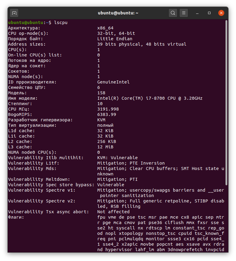 Как получить информацию о системе в Linux? | SKROL | Дзен
