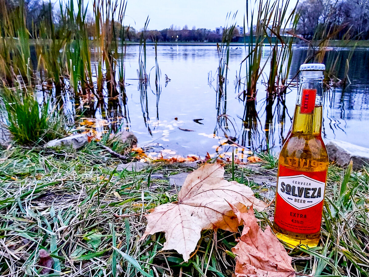 В сети "Красное и Белое" появилось новое легкое пиво! Обзор Solveza ...