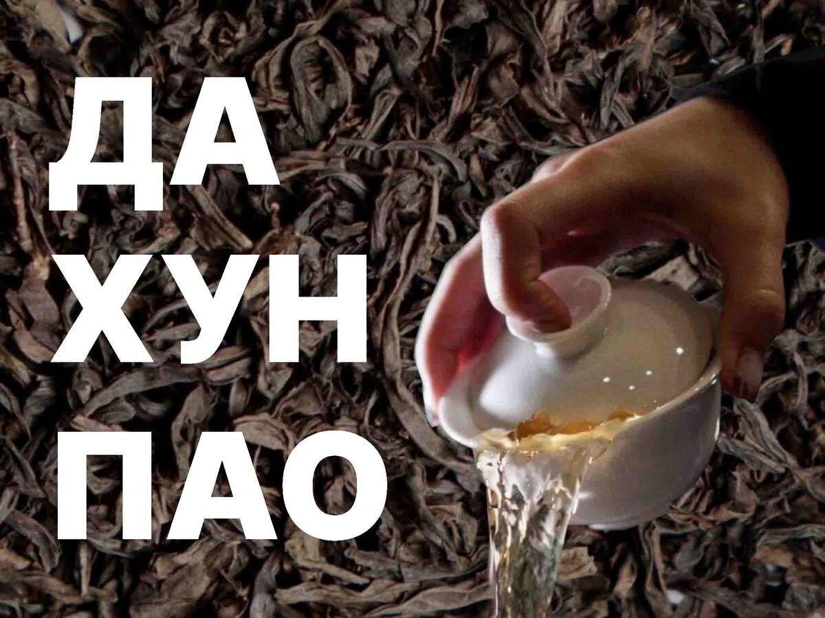 Да Хун Пао: что надо знать, как выбрать и правильно заварить «Красный ...