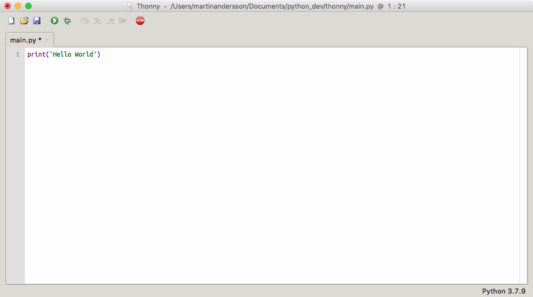 Thonny - идеальная IDE для новичков Python | Nuances of programming | Дзен