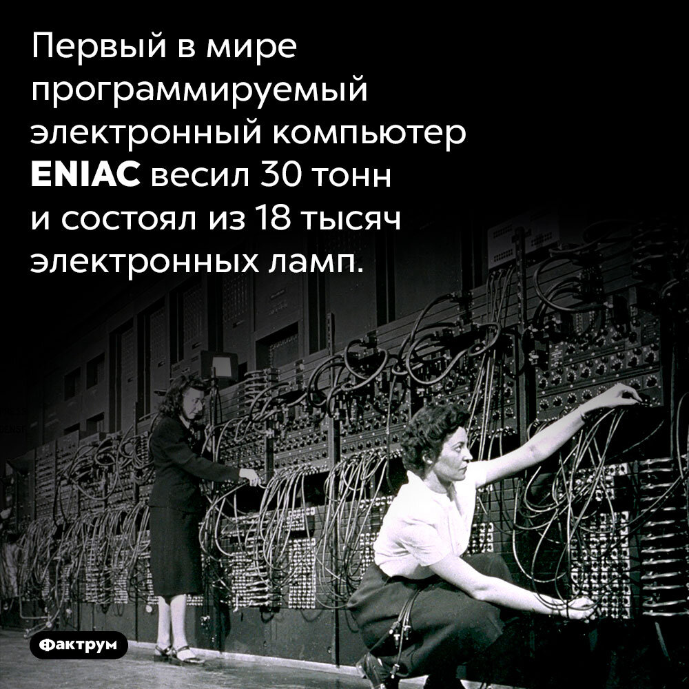Подборка интересных фактов № 472 Фактрум Дзен