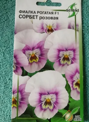 Фиалка многолетняя рогатая зацвела через месяц после появления всходов ...