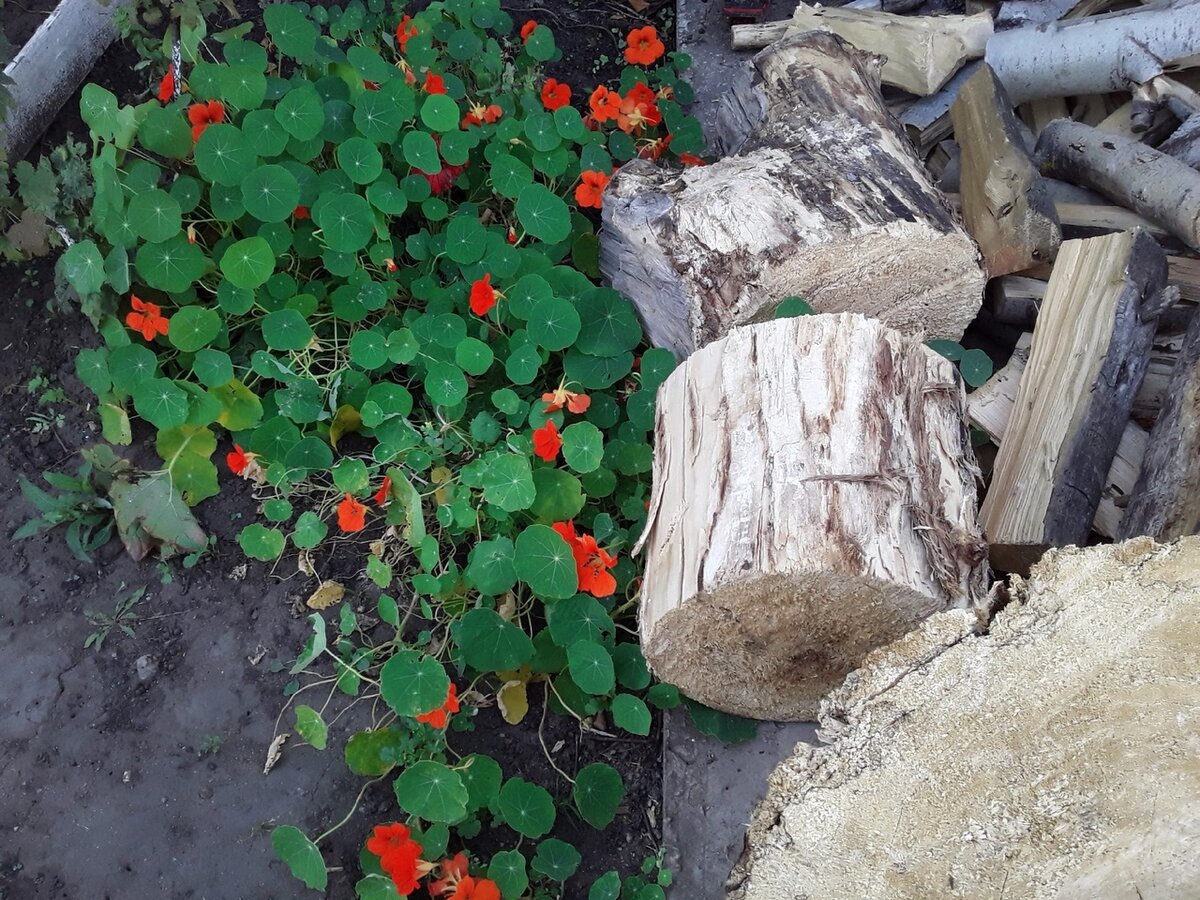 Живописный бардак: а вы можете похвастаться идеальным порядком на вашей ...