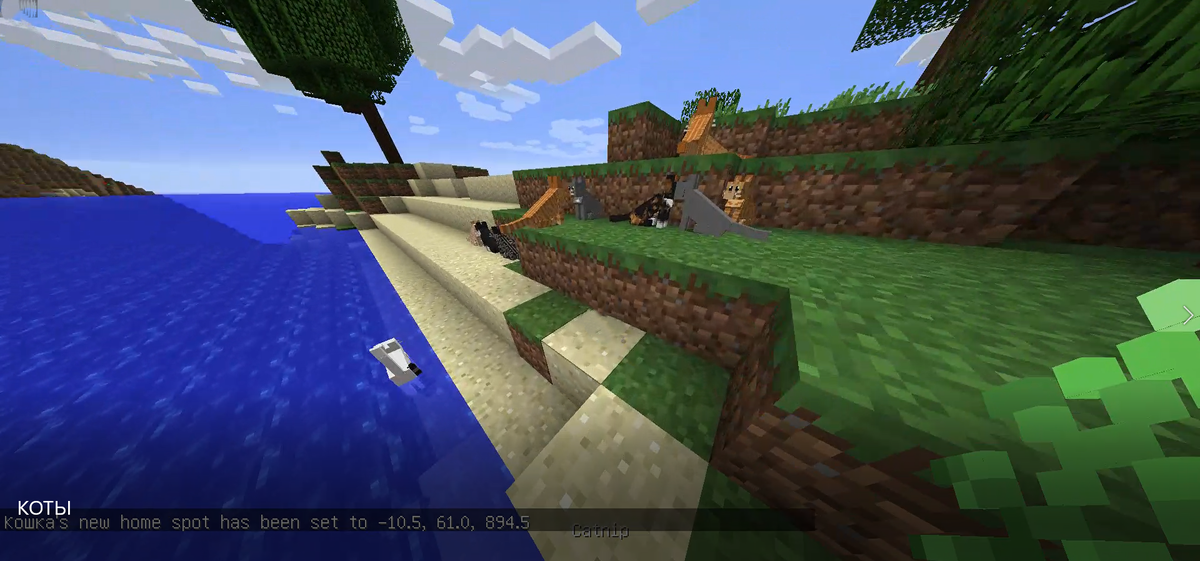 Мод на Котов Simply Cats в Майнкрафт👍 | Мирослав Str0ng | Дзен