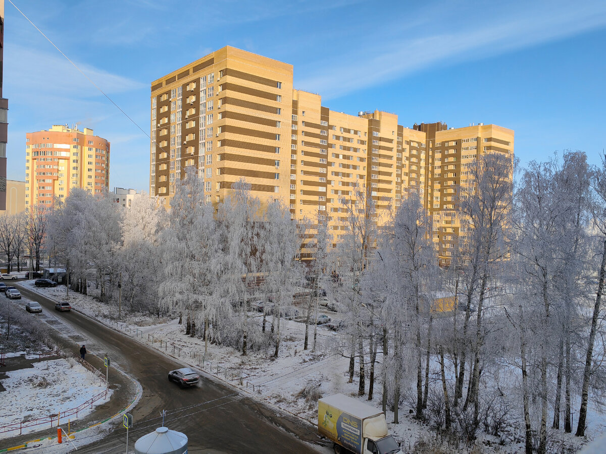 Почему не всходит эустома/петуния | Огородник из Рязани | Дзен