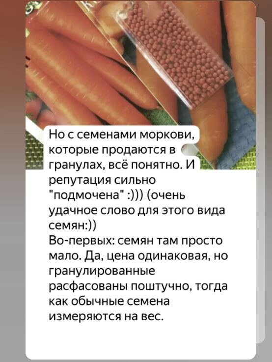 Семена моркови в гранулах: за что их ругают старые огородники. Чем ...