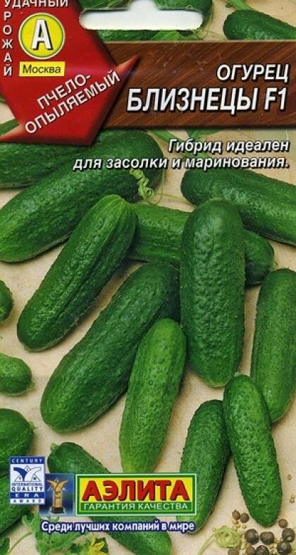 5 лучших сортов пучковых огурцов проверенных временем | Любимая Дача ...