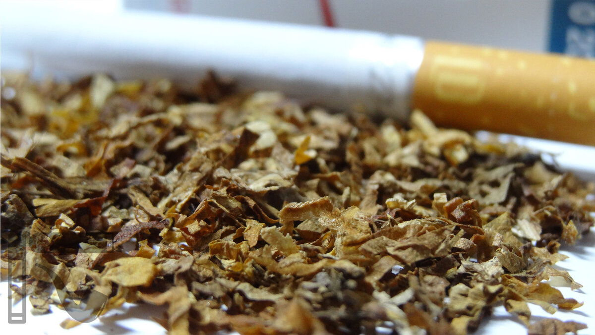 Антикризисная новинка JTI. Курим сигареты LD 100's | Уголок курильщика ...