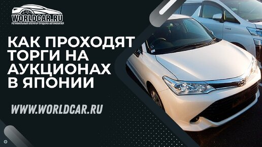 Как проходят торги на японских автоаукционах? 📈 | WorldCar | Автомобили из Японии, Кореи и США ...